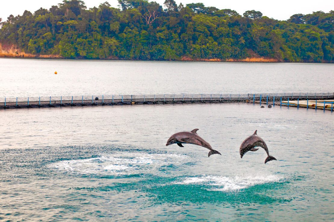 Ocean Adventure | Visit Central Luzon