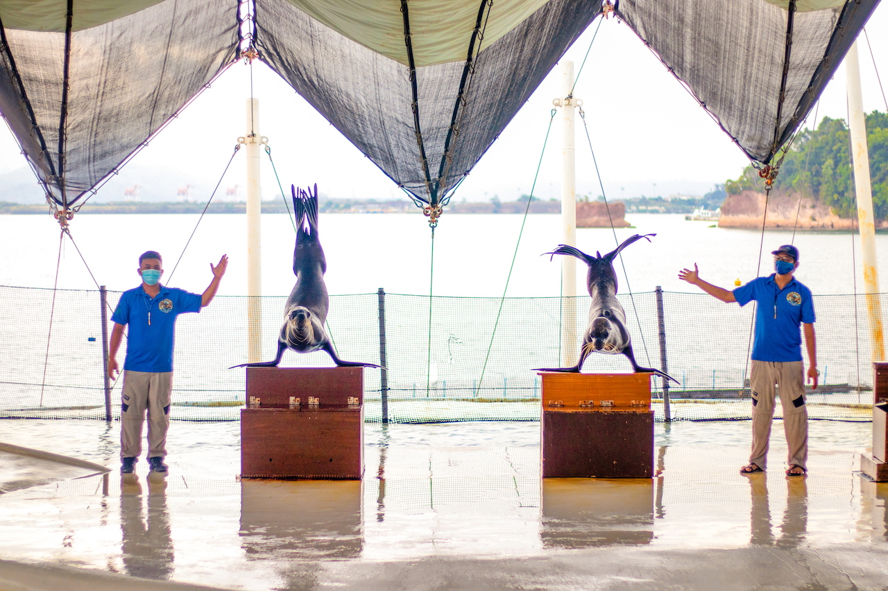 Ocean Adventure | Visit Central Luzon